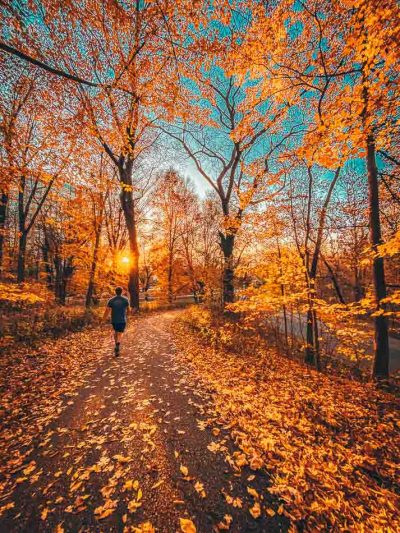 Fall in Kentucky: 14 Cozy Things to Do this Autumn - Let's Go Louisville