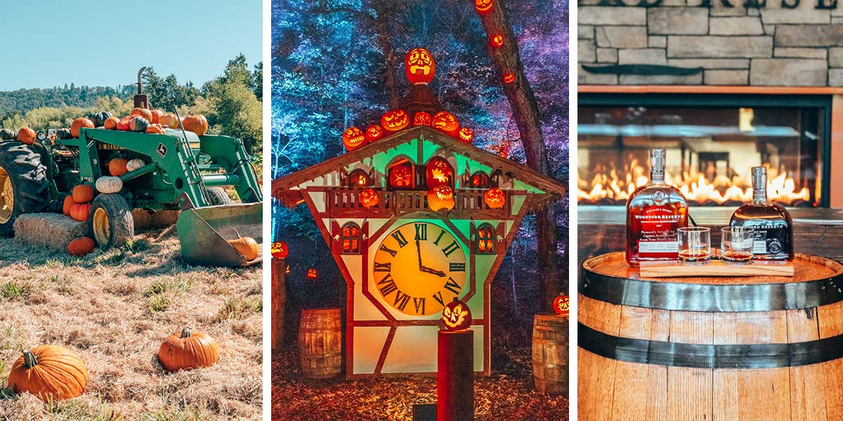 Fall in Kentucky: 14 Cozy Things to Do this Autumn - Let's Go Louisville
